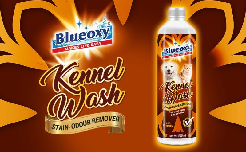 How To Clean Dog Kennels - BR Buildcare Solution Pvt. Ltd